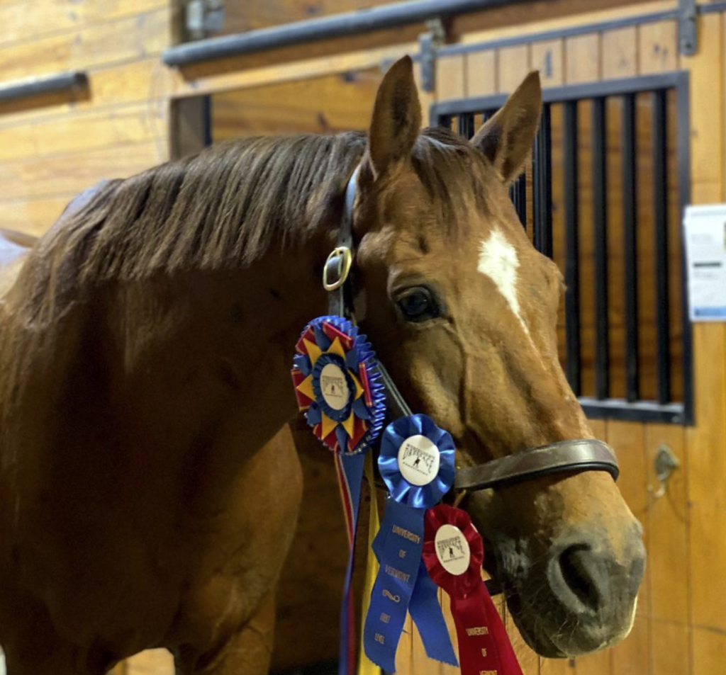 Animals On Campus - UVM Bored