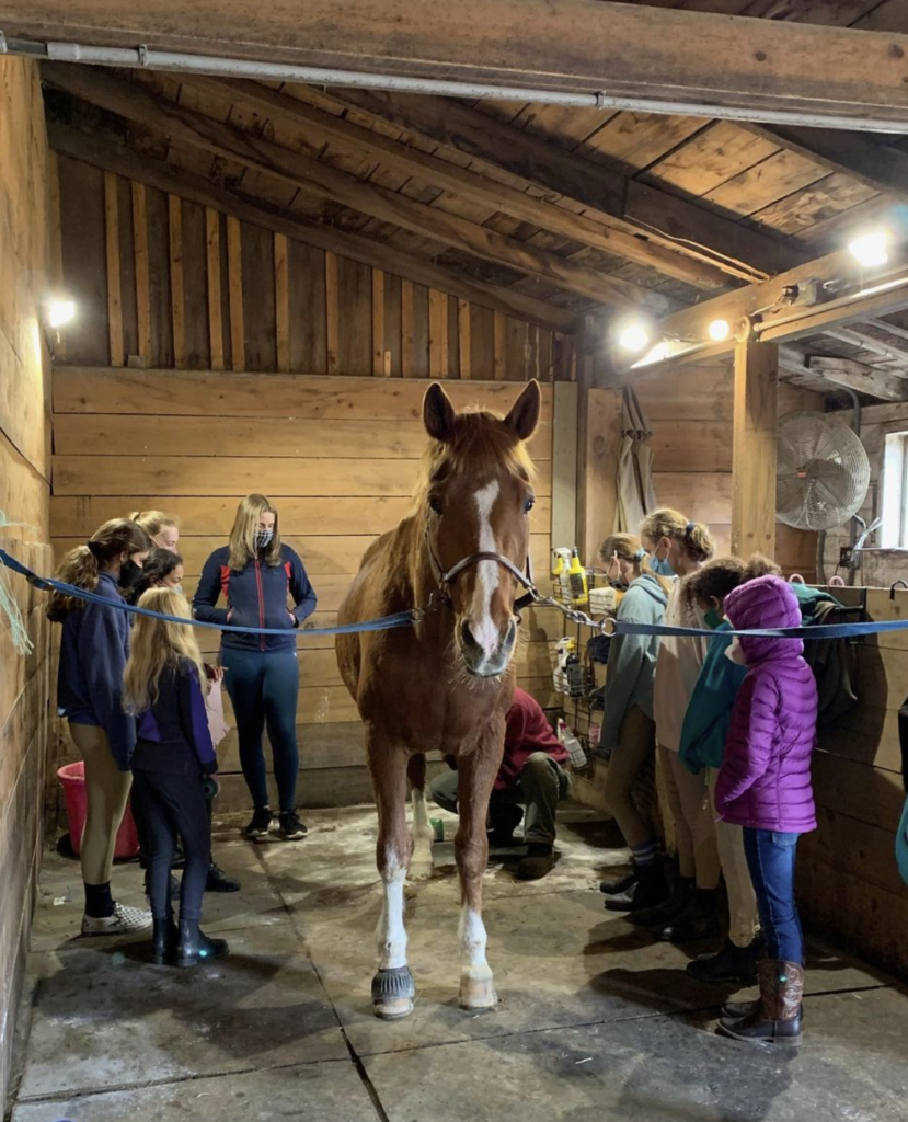 Animals On Campus - UVM Bored