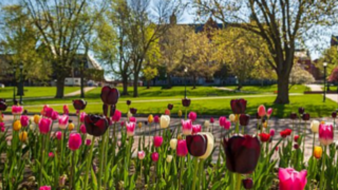 BORED AWARDS: THE BEST OF UVM IN 2023 - UVM Bored