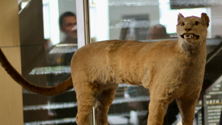 BORED AWARDS: THE BEST OF UVM IN 2024 - UVM Bored